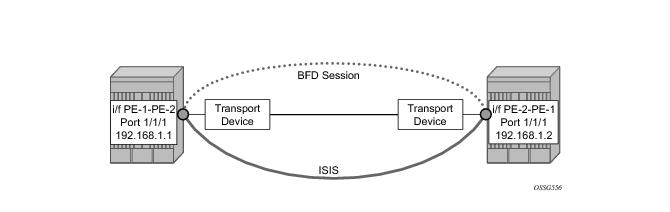 Bi-Directional Forwarding Detection